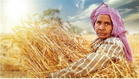 How Farmer Segmentation Can Strengthen Supply Chains And Better Support Smallholder Farmers