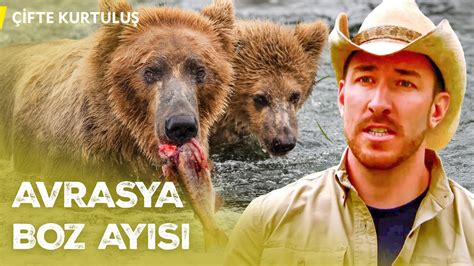 Ormanda Ayı Saldırısına Hazırlık Çifte Kurtuluş Youtube
