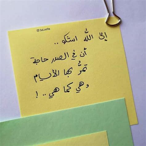 لاتانا ‎لاتانا‎ Added A New Photo