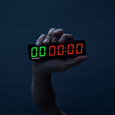 Timebirds® Mini Timer Box Basics