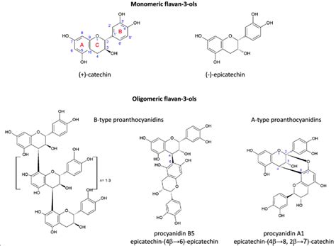 Molecular Structure Of Monomeric And Oligomeric Flavan 3 Ols Download