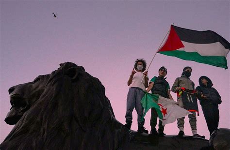 דור ה Z בעולם רואה את מה שמסתירים מהצעירים בישראל שיחה מקומית