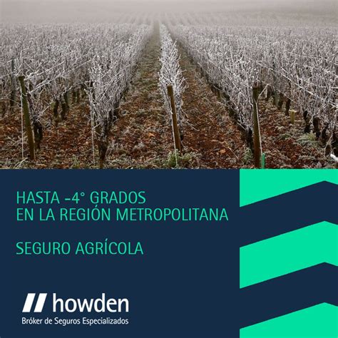 Carlo Caiani Jara Ha Hecho Una Publicación En Linkedin