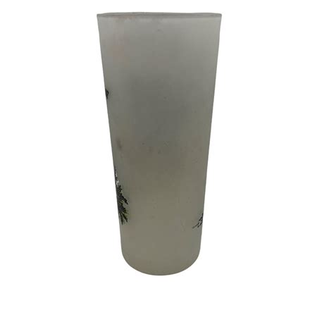 Vintage Libbey Plantation Scenes Frosted Glass Tumbler Southern