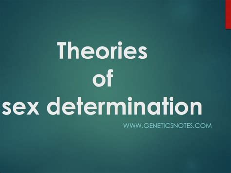 Chromosomal Mechanism Of Sex Determination Online Biology Notes