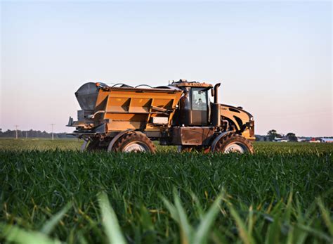 Comparing Sulfur Fertilizer Sources Elemental Vs Sulfate