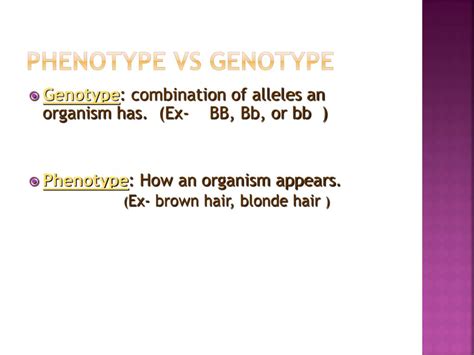 Ppt Genetics Powerpoint Presentation Free Download Id 1895592