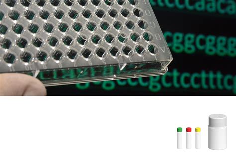 Magsi Ngs Prep Plus Analityk Genetyka