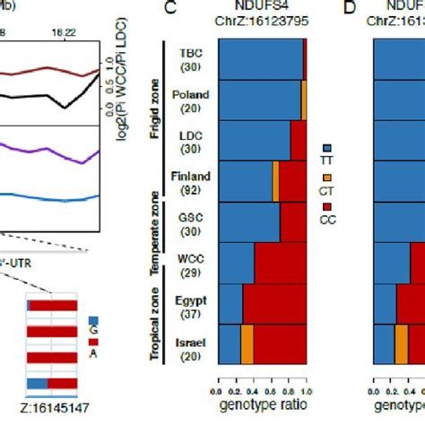 Analysis Of The Signatures Of Positive Selection In The Genome Of Download Scientific Diagram