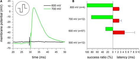 Effect Of Varying Pulse Amplitude A Stimulation Experiments With One