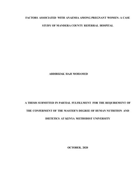 Abdirizak Final Thesis Docx