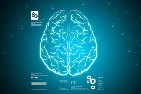 Ai Accurately Predicts Brain Age From Eeg Signals Recorded During Sleep