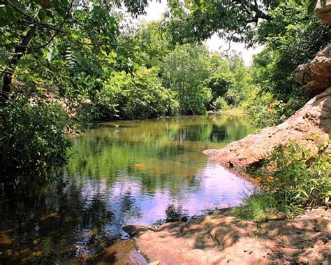 The 15 Best Things To Do In Chittoor 2026 Must See Attractions