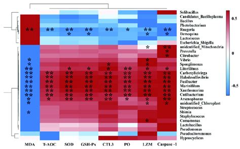 Ecological Interaction Network Analysis Of Gut Microbial Community A