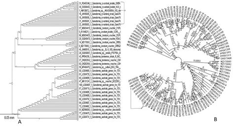First Report Of Ganoderma Ryvardenii Causing F1000research