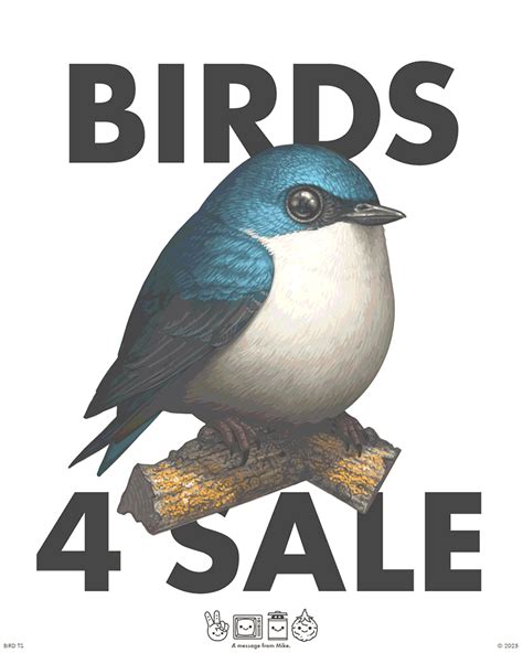 Tree Swallow Psa Sir Mitchell