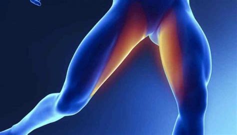 Pubalgia What It Is And What Symptoms It Manifests Itself With