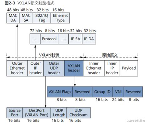 k8s网络基础 cni 配置文件 csdn博客