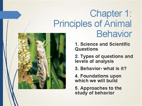 Animal Behavior Class High School At Stephen Jamerson Blog