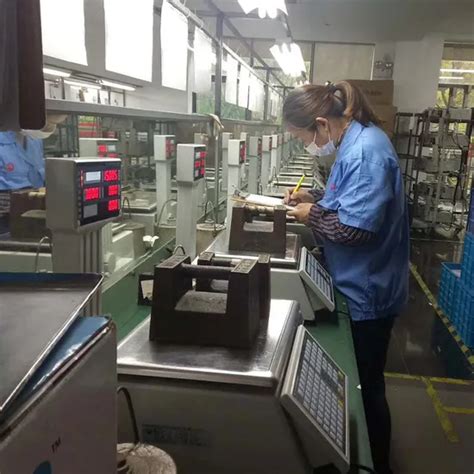 Digital Weighing Scale Supermarket Weighbridge Kitchen Scale Electronic Scale Equipment Meat