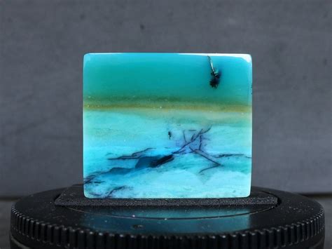 Blue Opalized Wood Etsy