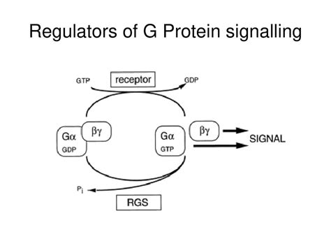 Genetic Architecture Of Behaviour Ppt Download