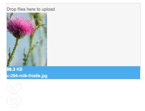 CSS Is Broken After Update Issue 431 Rowanwins Vue Dropzone GitHub