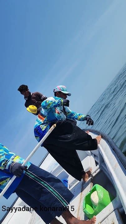 صید ماهی تن ناخدا ابو و ادریس Youtube