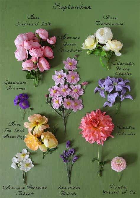 September Flowers