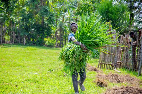 2023 Snv Annual Report Snv