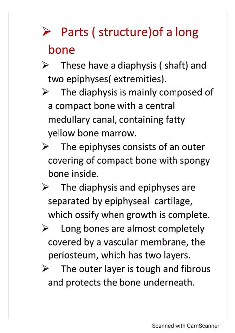 Bone Classification Pdf
