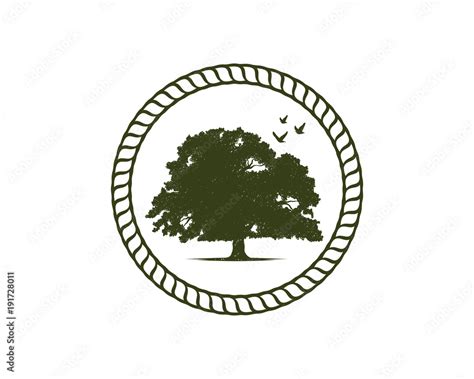 Oak Tree Hand Drawn Symbol Vectage Circle Logo Vector
