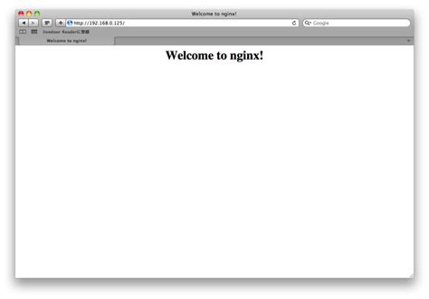 Nginx Test Startup Act As Professional
