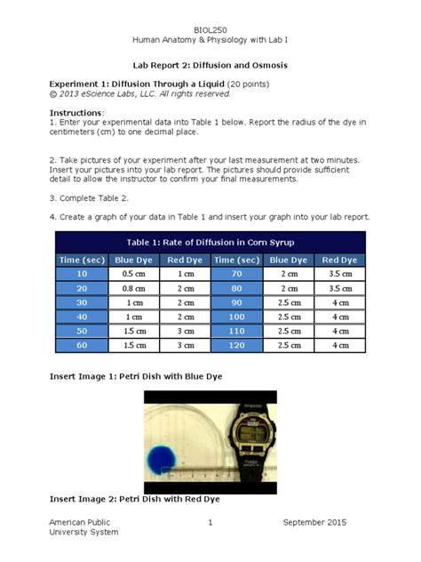 Lab Report Pdf Diffusion Chemistry