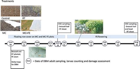 Timeline Showing The Diamondback Moth Dbm Plutella Xylostella