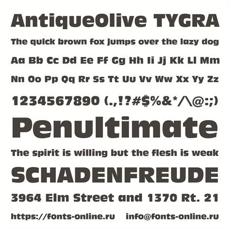 Antiqueolive Tygra Font