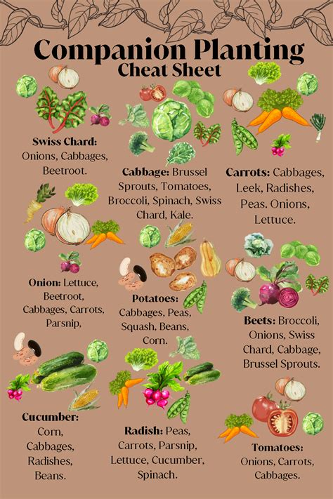 Companion Planting Vegetable Garden Planning Vegetable Garden Diy