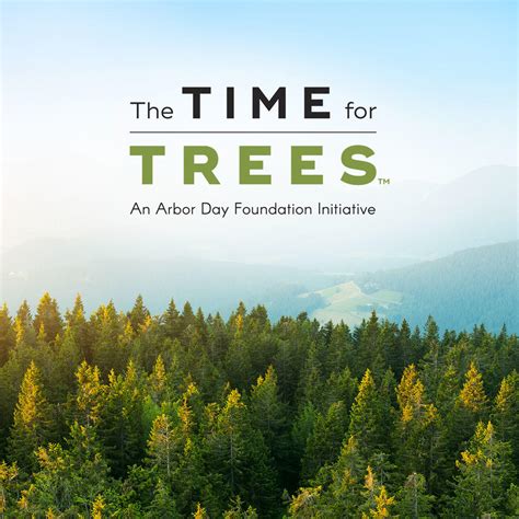 Timefortrees Lovewhereyouwork Austin Mackrill