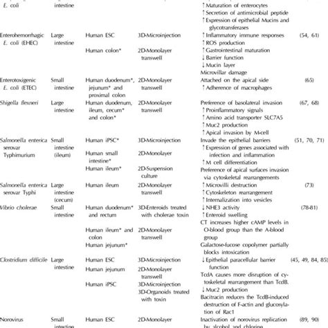 Studies Reporting Host Microorganism Interactions Using Human