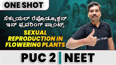 Sexual Reproduction In Flowering Plants In Shot All Theories Pyqs Covered Puc Neet