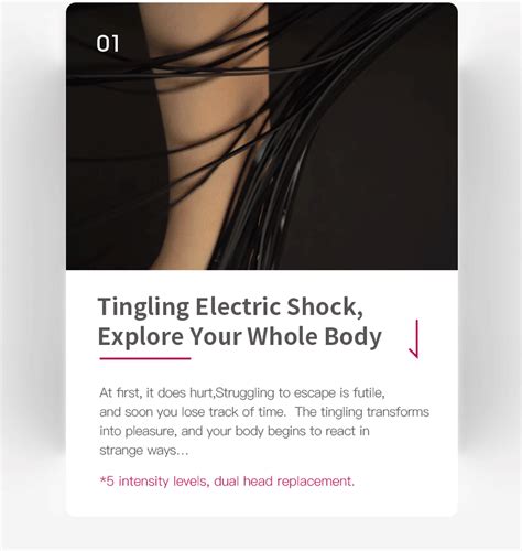 Sex Electric Shock Magic Wand Electro Whip Zw 143 Roomfun Sex Toys Products Factory