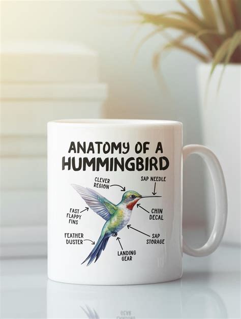 Anatomy Of A Hummingbird Mug Funny Ruby Throated Hummingbird Ts