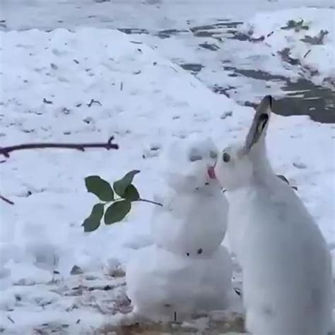 Prdj Florence Garnier 340 Commentaires