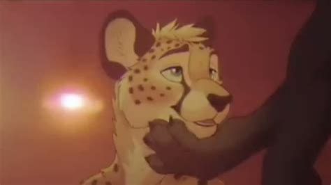 [furry Gay Animation] Heating Night Youtube