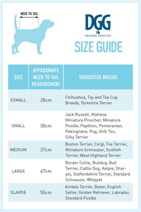 How Do You Measure A Dog For A Coat