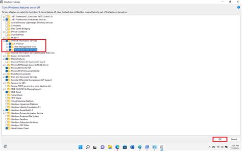 Install Iis On Windows 11 Eroppa