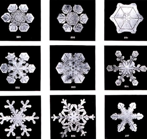 How Snowflakes Get Their Distinct And Various Shapes