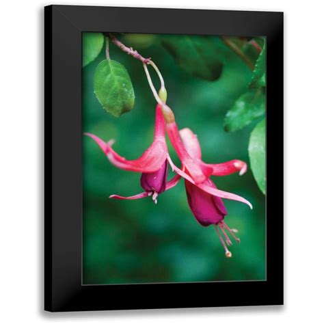 Berzel Erin 11x14 Black Modern Framed Museum Art Print Titled