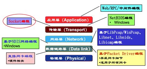 计算机网络开荒2 2 socket编程 socket api编程 csdn博客