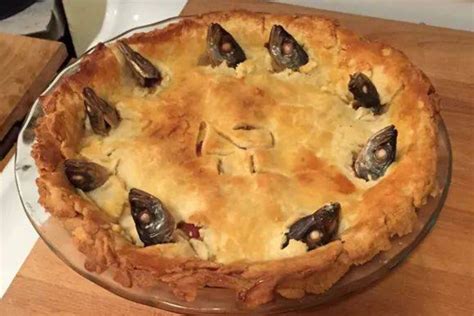 仰望星空图册360百科